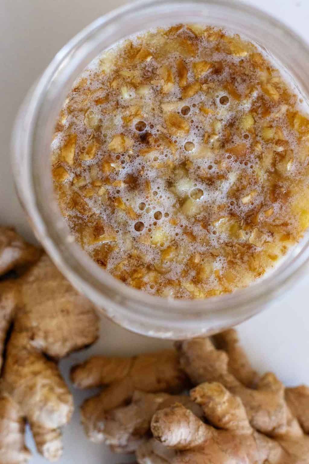 Ginger Bug Recipe for Homemade Fermented Sodas