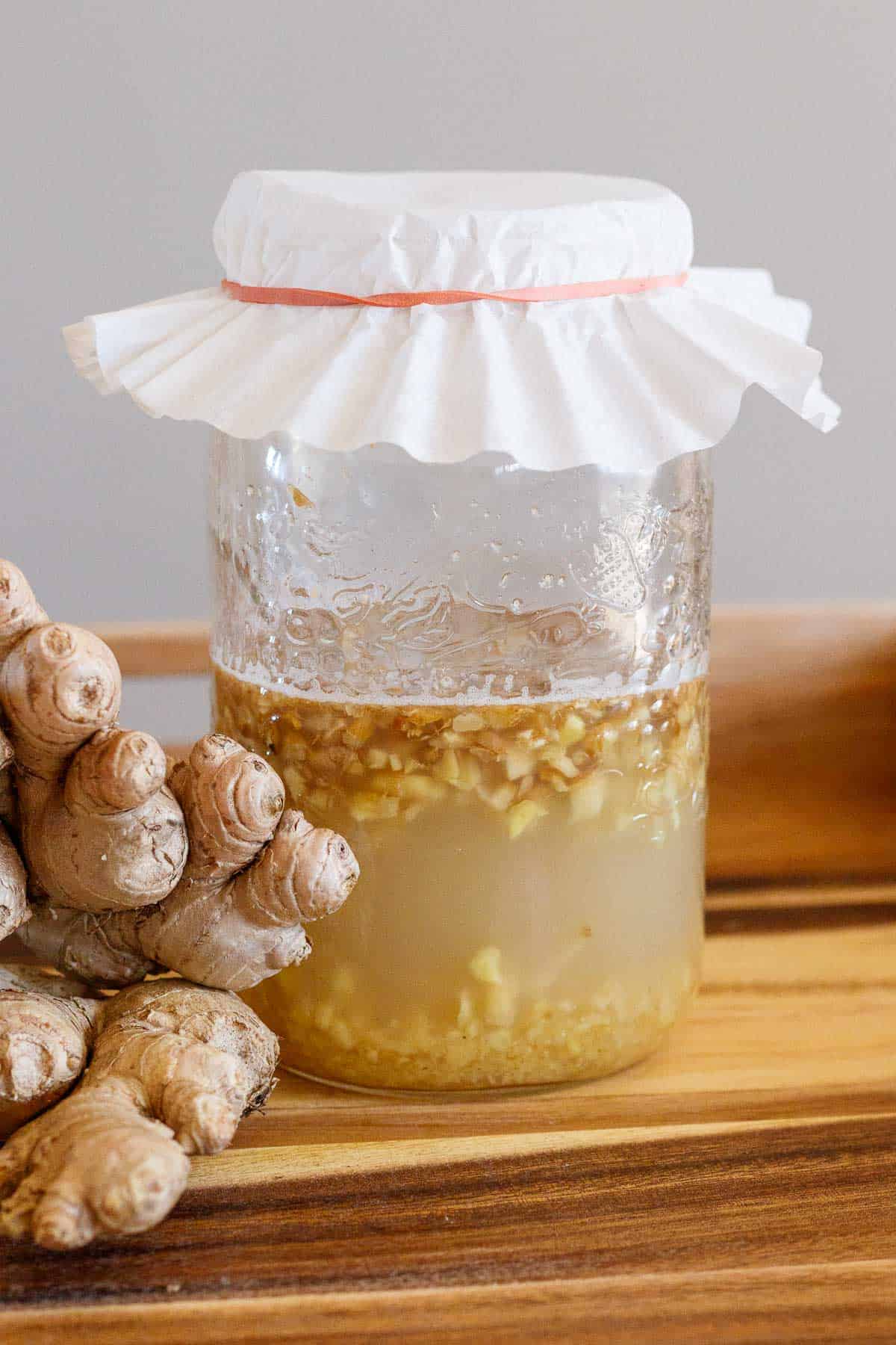 Ginger Bug Recipe for Homemade Fermented Sodas