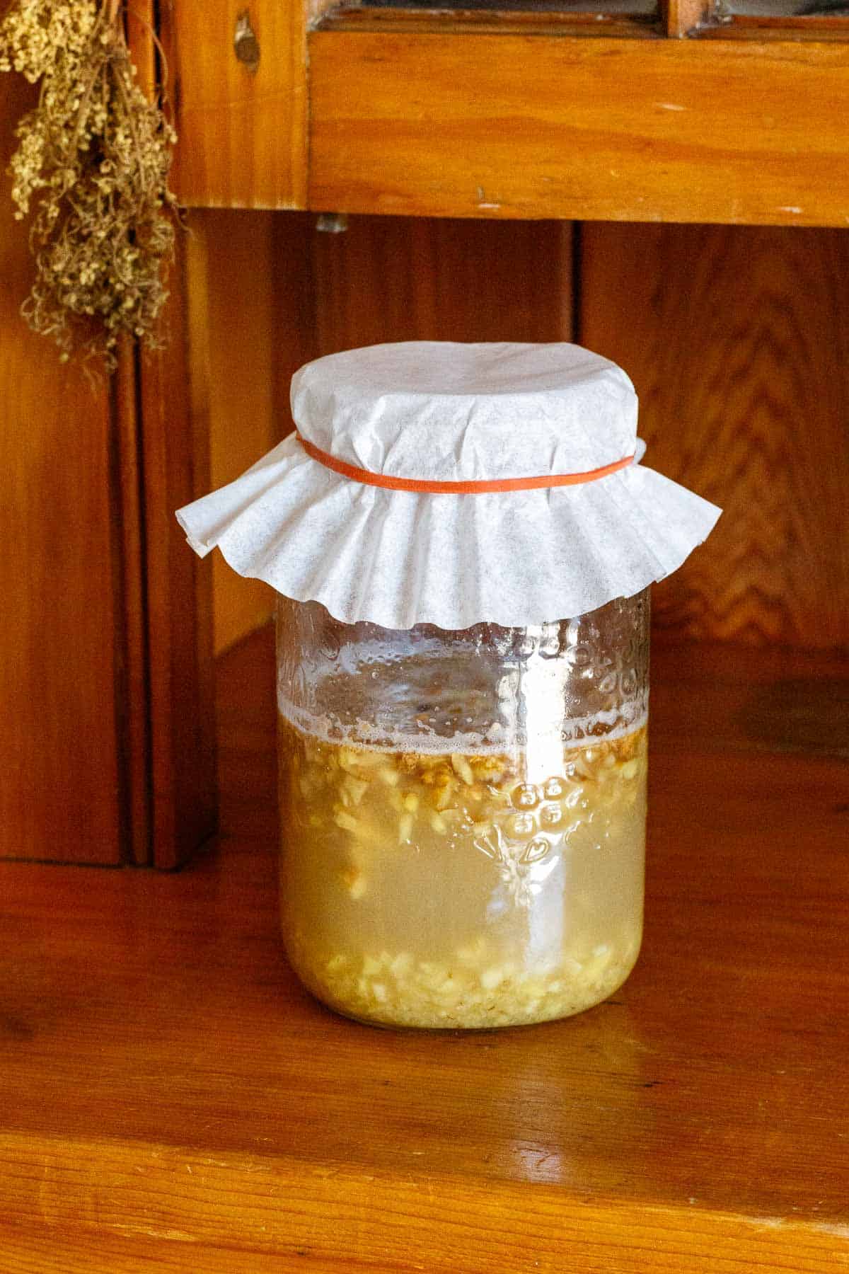 Ginger Bug Recipe for Homemade Fermented Sodas