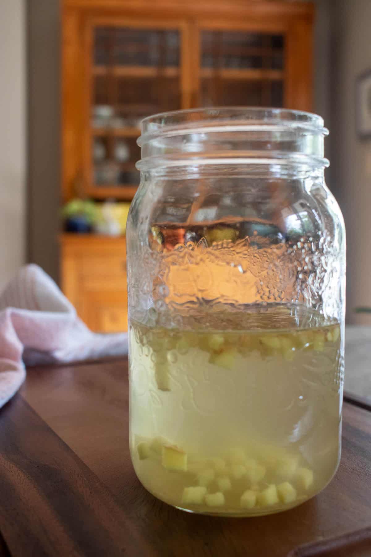 Ginger Bug Recipe for Homemade Fermented Sodas