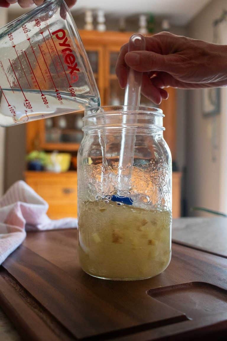 Ginger Bug Recipe for Homemade Fermented Sodas