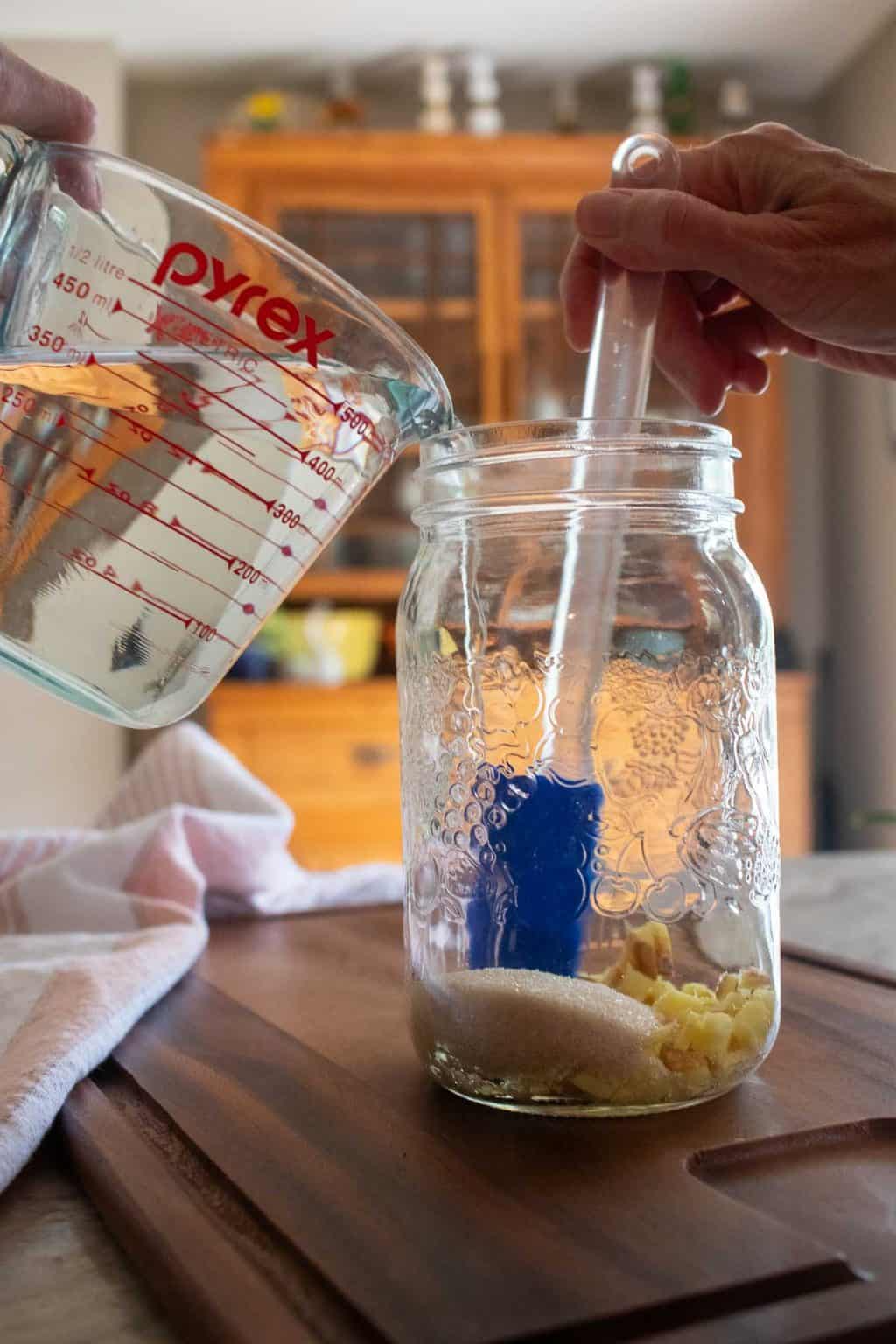 Ginger Bug Recipe for Homemade Fermented Sodas