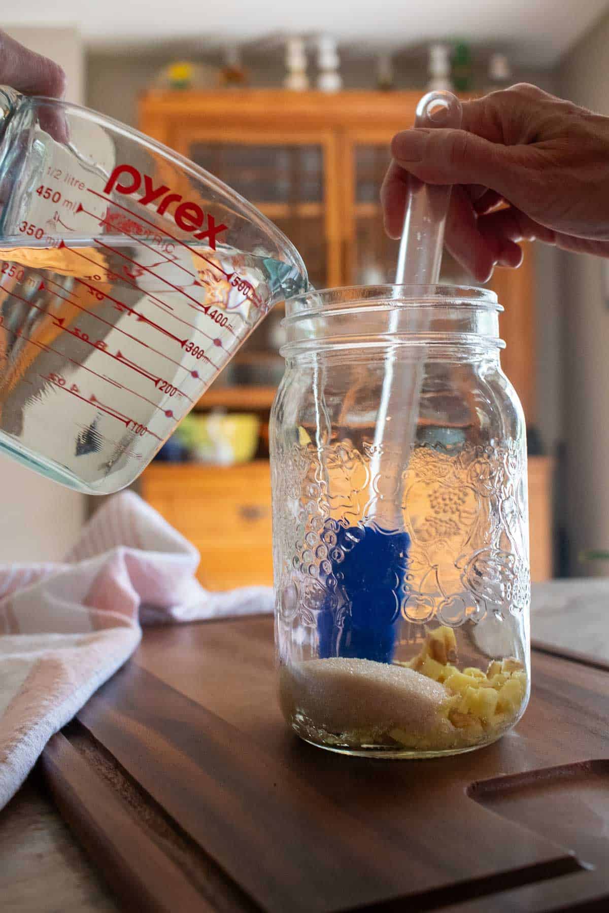 Ginger Bug Recipe for Homemade Fermented Sodas